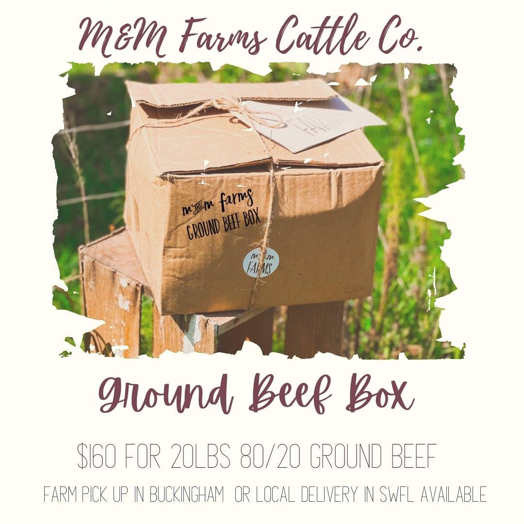 Farm Fresh Ground Beef Box- 20lbs- shipping not available – mmfarms